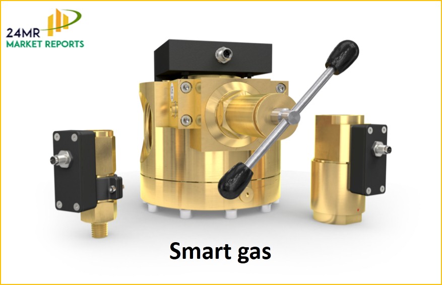 Smart gas In-Depth Research Report 2017-2022 | FeedsFloor