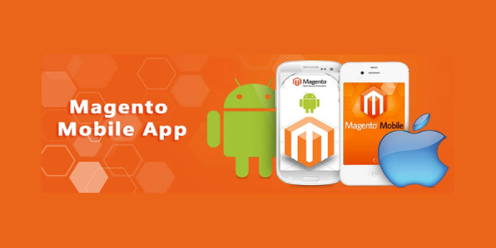 Magento eCommerce Mobile App: 7 Features You Must Know | FeedsFloor